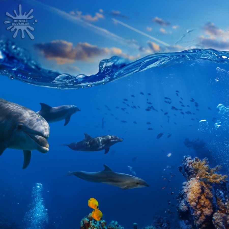 Deniz Akvaryum Posterleri Deniz 182 Fiyat Ve Modeli 3D POSTER